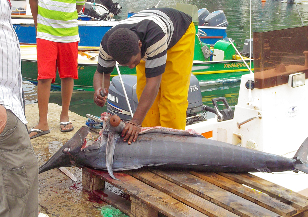 Plutôt langoustes ou d'une darne d'espadon ? Découvrez le marché aux ...